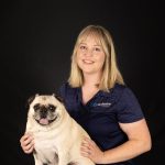 Careers - Singlewire Software